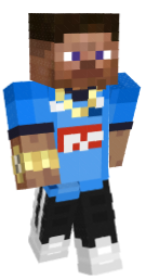 Skin de Minecraft | laby.net