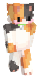 Cat Minecraft Skin | laby.net