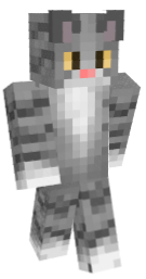 Cat Minecraft Skin | laby.net