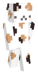 Cat Minecraft Skin | laby.net