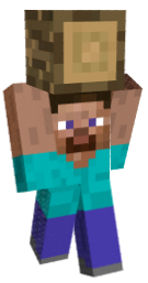 Steve Log Minecraft Skin | laby.net