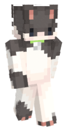 Slim Cat Minecraft Skin | laby.net