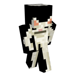 Cat Meme Minecraft Skin | laby.net