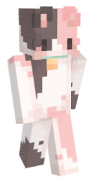 Cat Minecraft Skin | laby.net