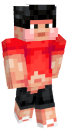 Black Hair Fat Minecraft Skin | laby.net