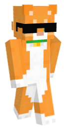 Cat Minecraft Skin | laby.net