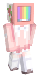 Aesthetic Tv Minecraft Skin | laby.net