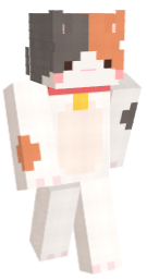Cat Classic Minecraft Skin | laby.net