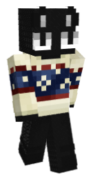 Cat Sweater Minecraft Skin | laby.net