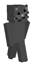 🤪 Silly Minecraft Skins