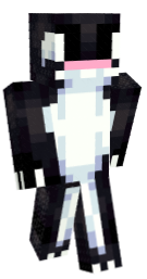 Killer Whale Orca Minecraft Skin | laby.net