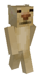 Cat Meme Minecraft Skin | laby.net