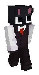 Cat Minecraft Skin | laby.net
