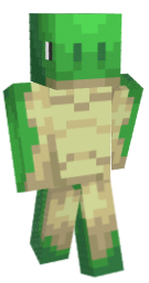Turtle Minecraft Skin | laby.net