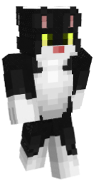 Cat Minecraft Skin | laby.net