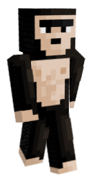 Serious Animal Minecraft Skin | laby.net