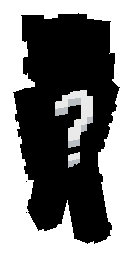 Question Mark Minecraft Skins