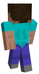 Steve Backwards Minecraft Skin | laby.net