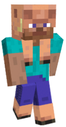 Steve Animal Minecraft Skin | laby.net