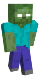 zylin | Minecraft profile | laby.net