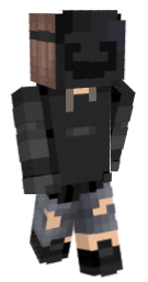 flying_chickens | Minecraft profile | laby.net